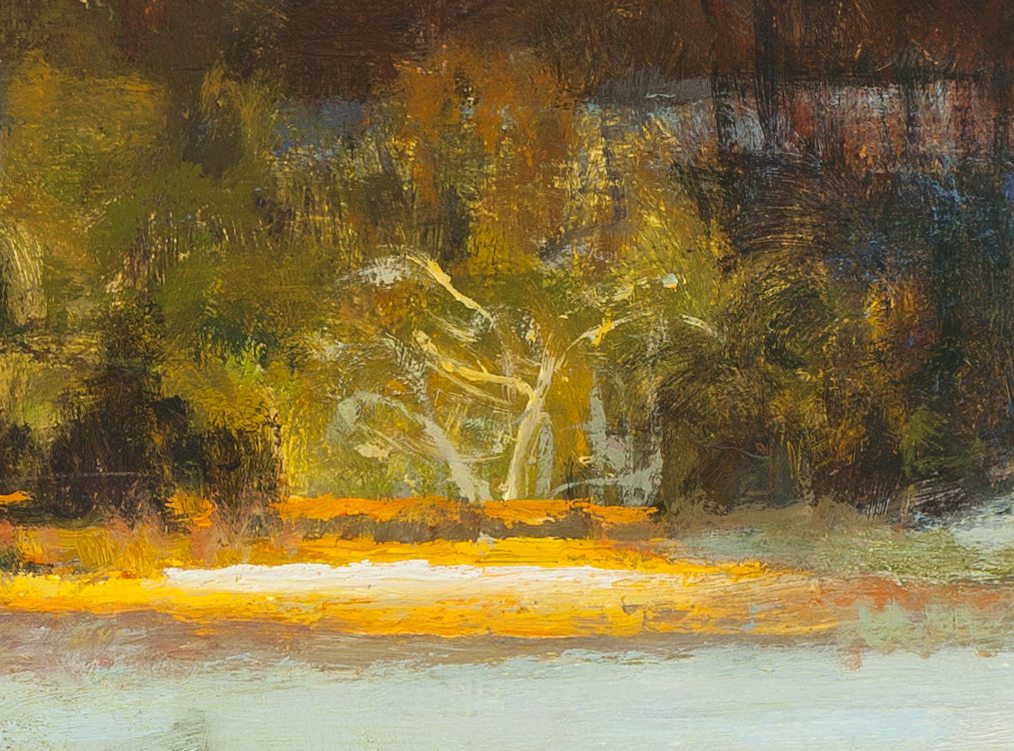 DVD SPECIAL - Win a Peter Fiore Painting