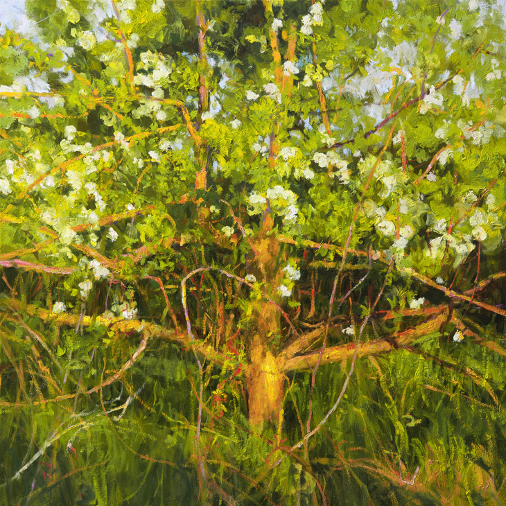 Peter Fiore - Landscape Paintings